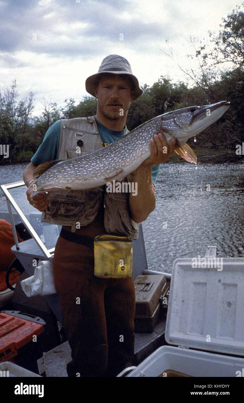 Fisherman holding big fish northern pike Stock Photo - Alamy