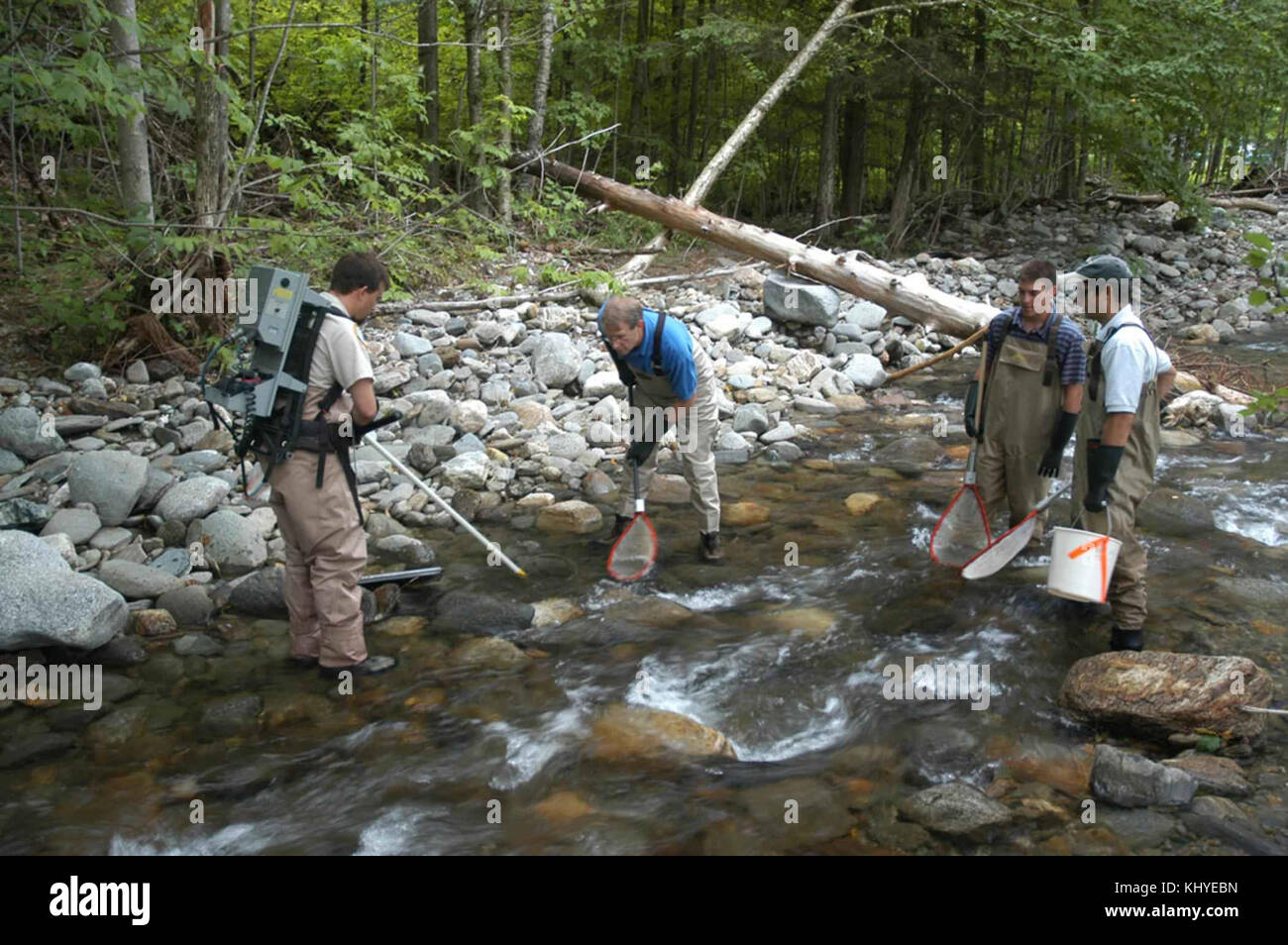 Fishermen using electrical stimulation for catching fish in a shallow ...