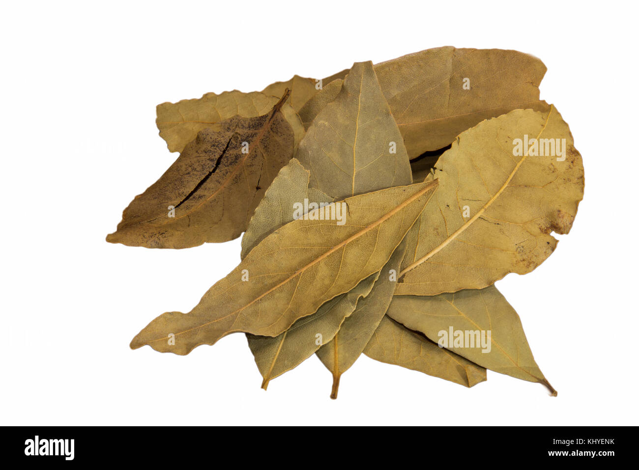 Dried bay leaves isolated on white background Stock Photo - Alamy