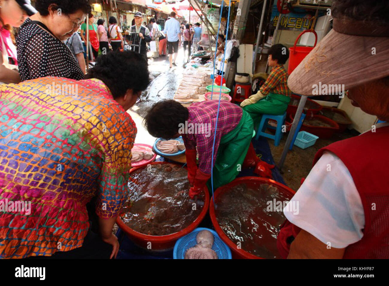 Busan fish market Stock Photo - Alamy