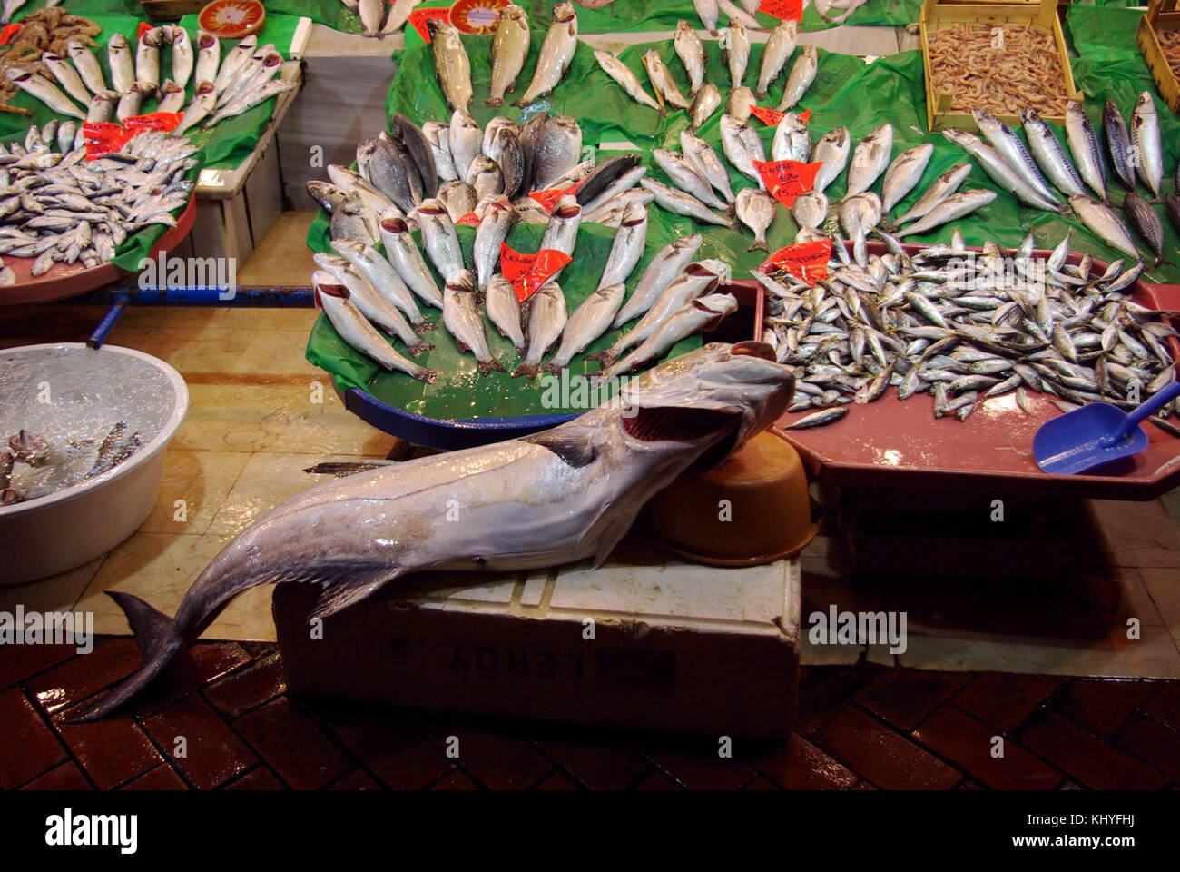 Kumkapi fish market istanbul turkey hi-res stock photography and images ...