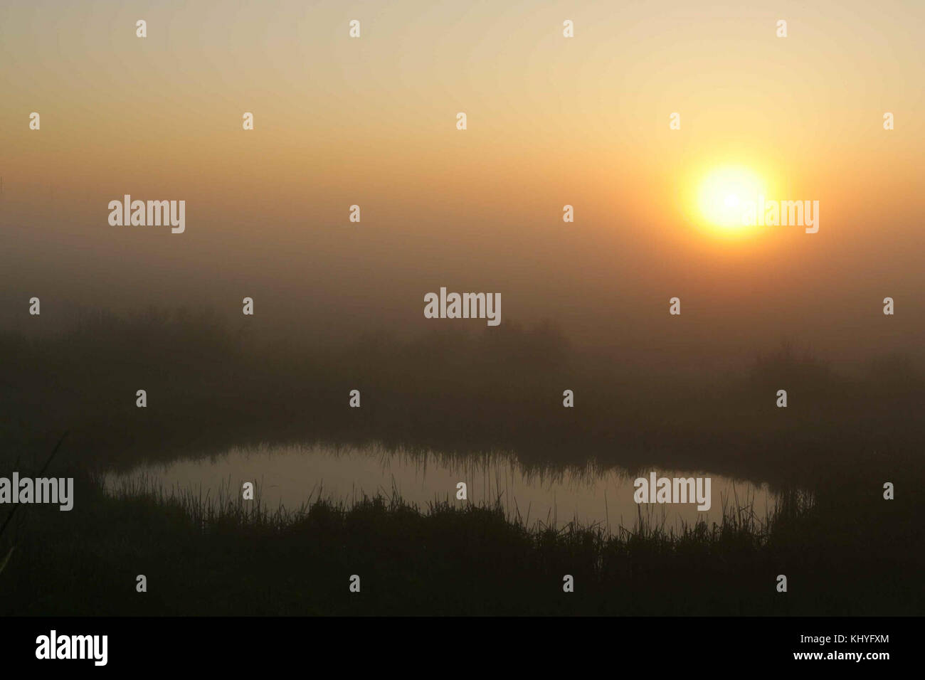 Old fogy hi-res stock photography and images - Alamy