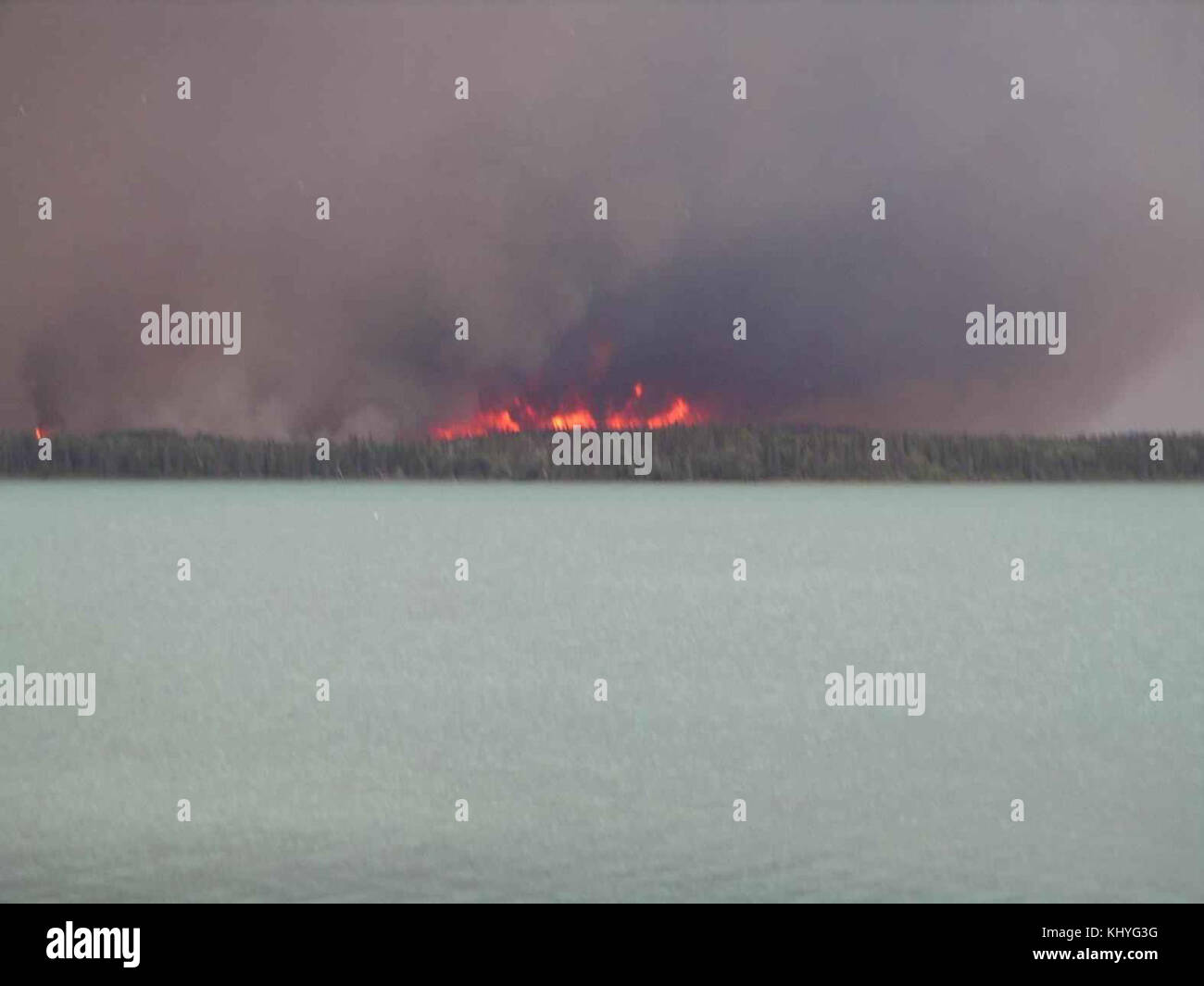 Forest fire in progress Stock Photo - Alamy