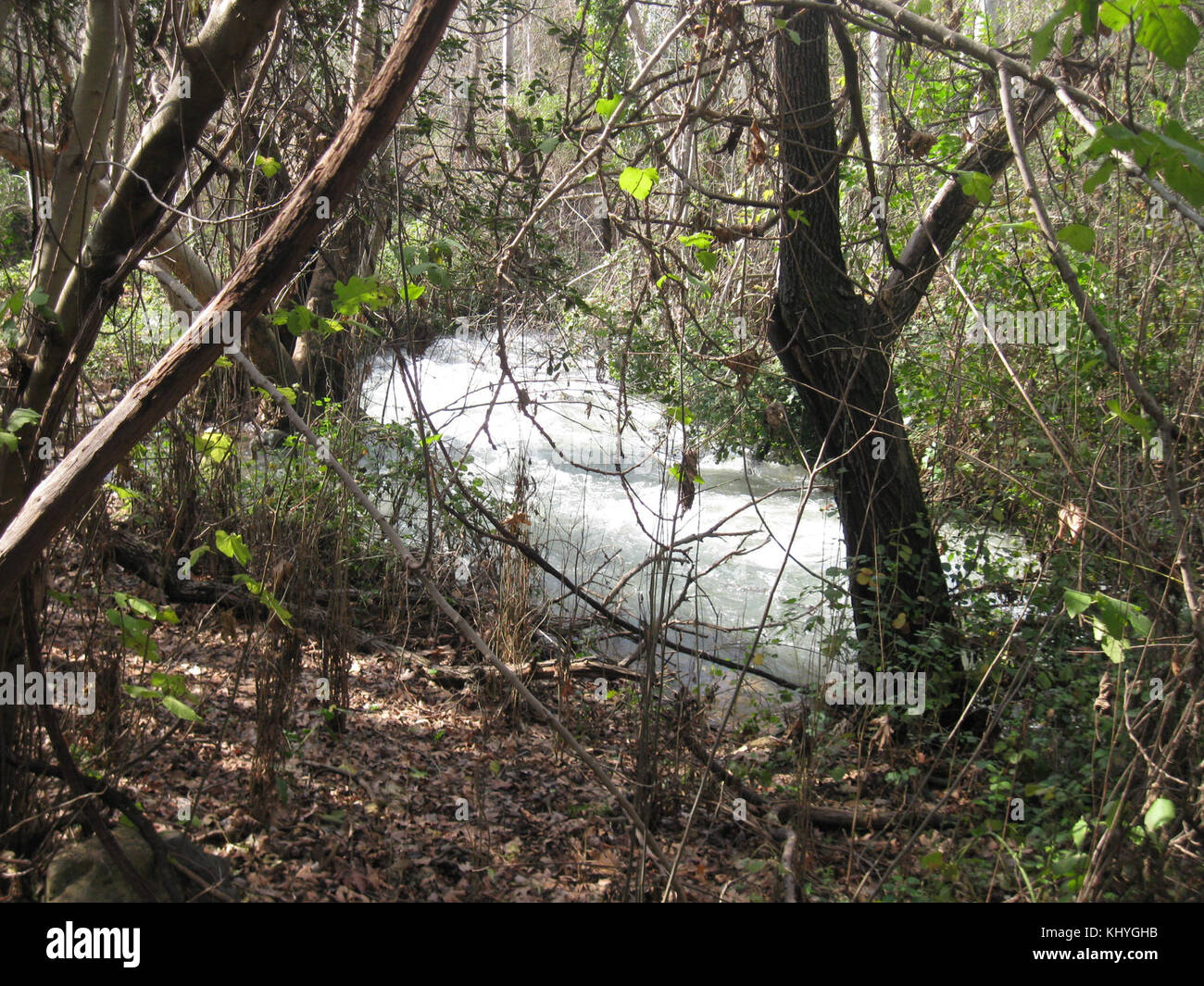 Israel 11936 Banias Nature Reserve Stock Photo - Alamy