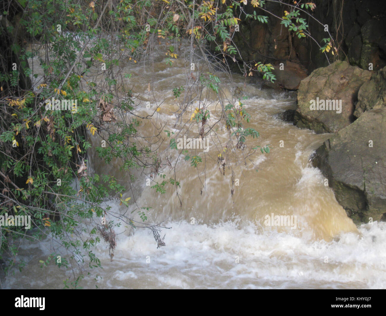 Israel 11926 Banias Nature Reserve Stock Photo - Alamy