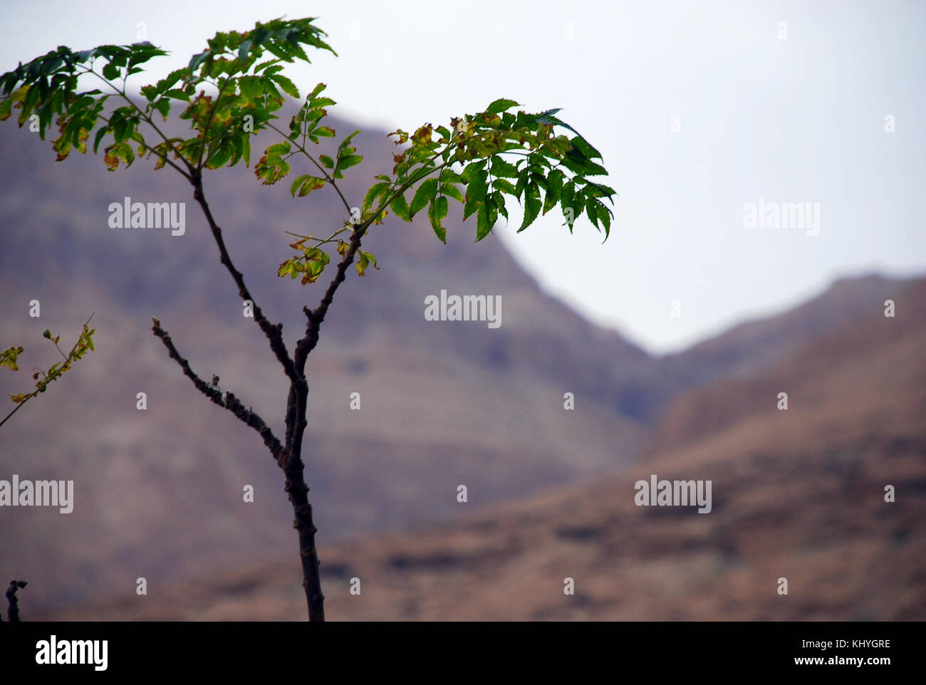 This image provides a look at cities in Israel, showcasing their ...