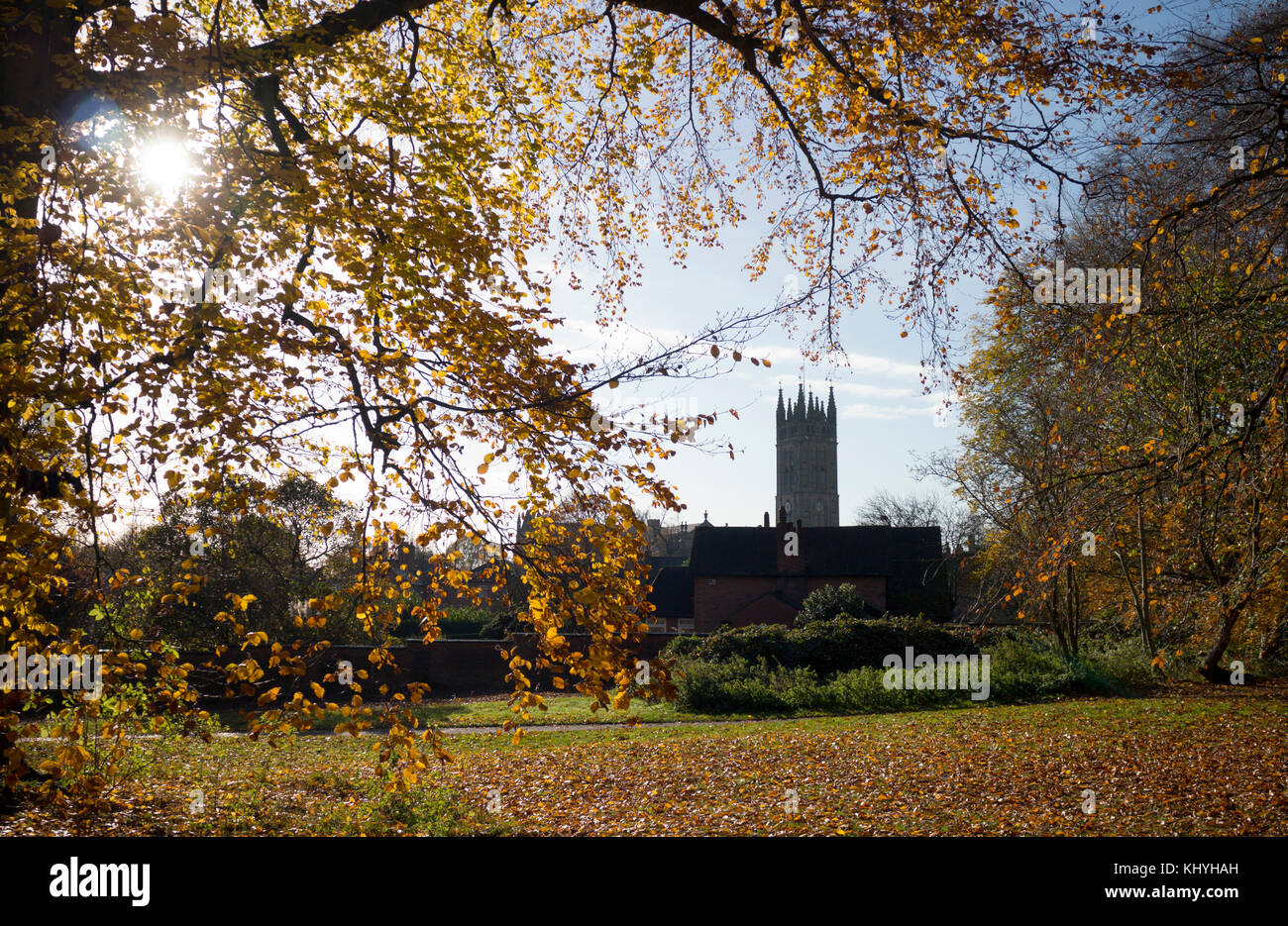 Priory Park in autumn, Warwick, Warwickshire, England, UK Stock Photo ...