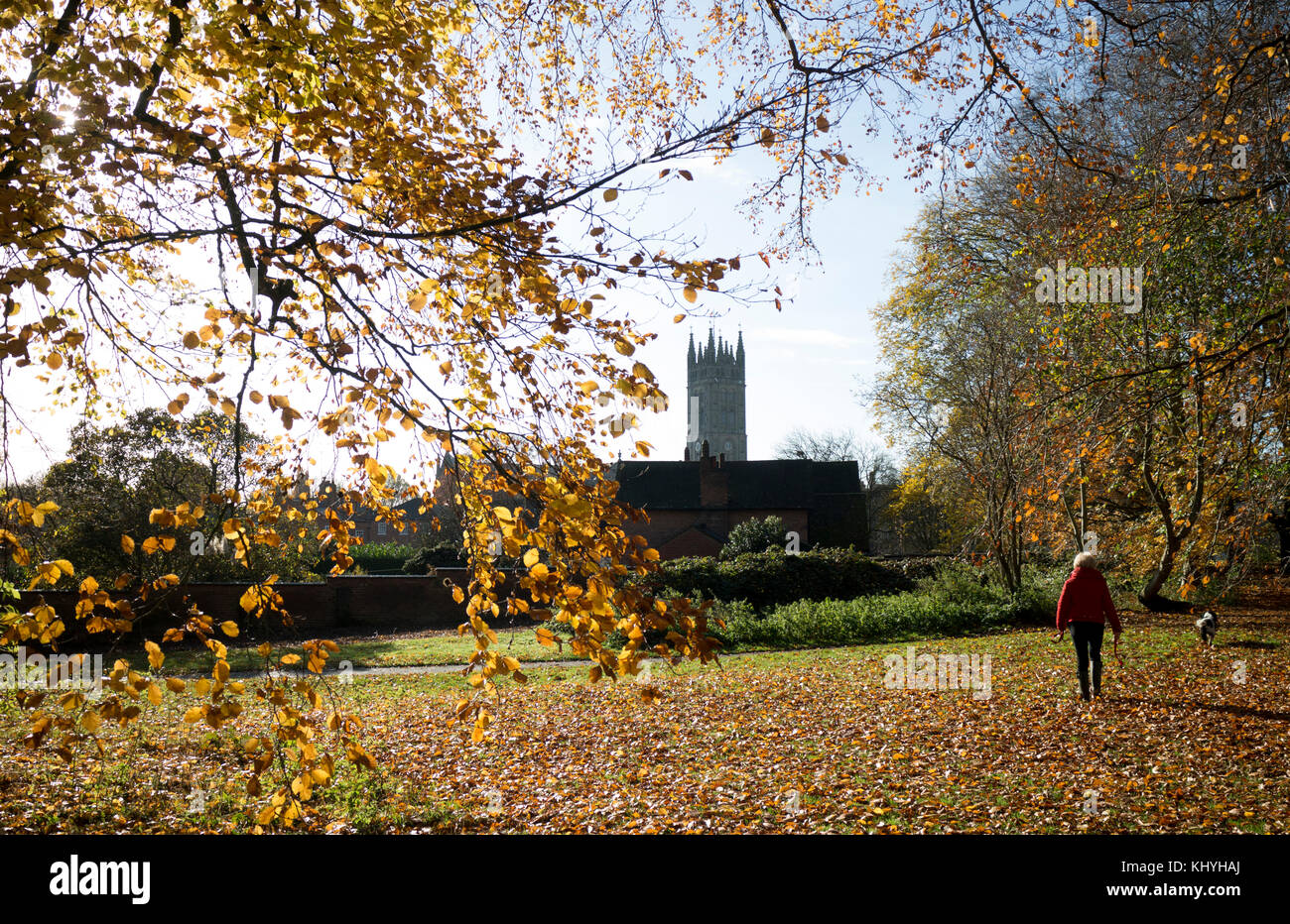 Priory Park in autumn, Warwick, Warwickshire, England, UK Stock Photo ...