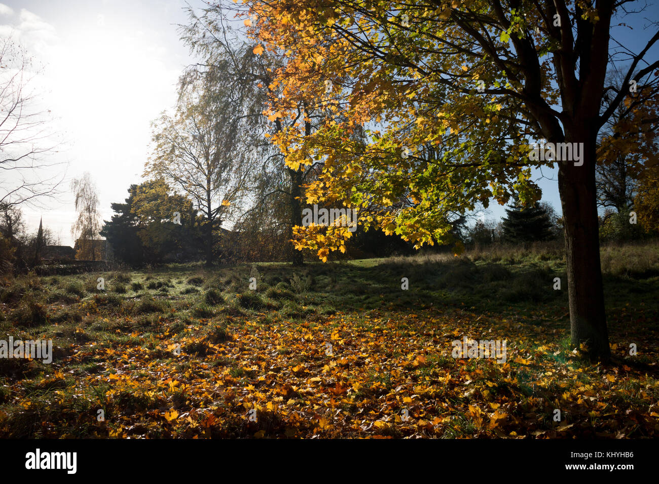 Priory Park in autumn, Warwick, Warwickshire, England, UK Stock Photo ...