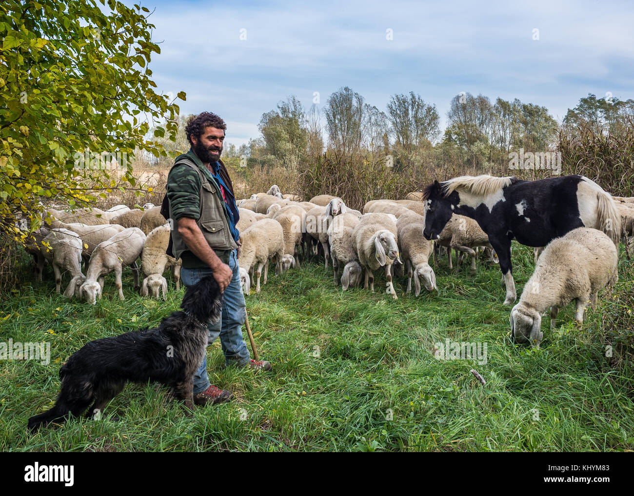 Reportage of Sheep-farming in the Bergamasca plain. Brambilla Simone ...