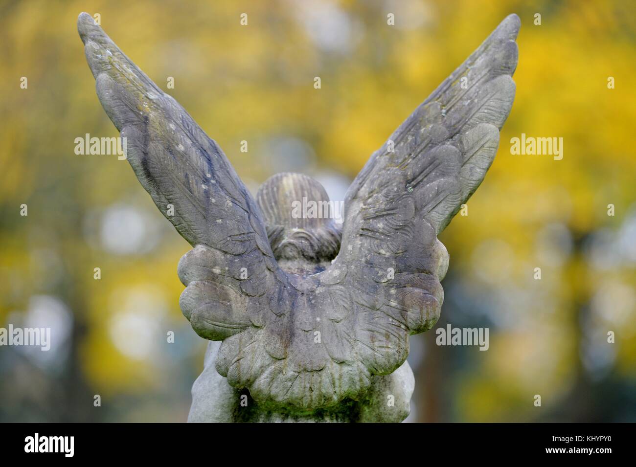 The sculpture of an angel, Germany, city of Göttingen, 15. November ...