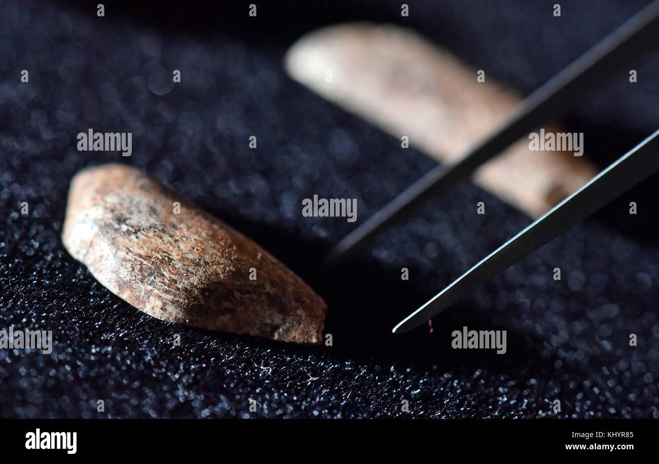 State museum for prehistory hi-res stock photography and images - Alamy