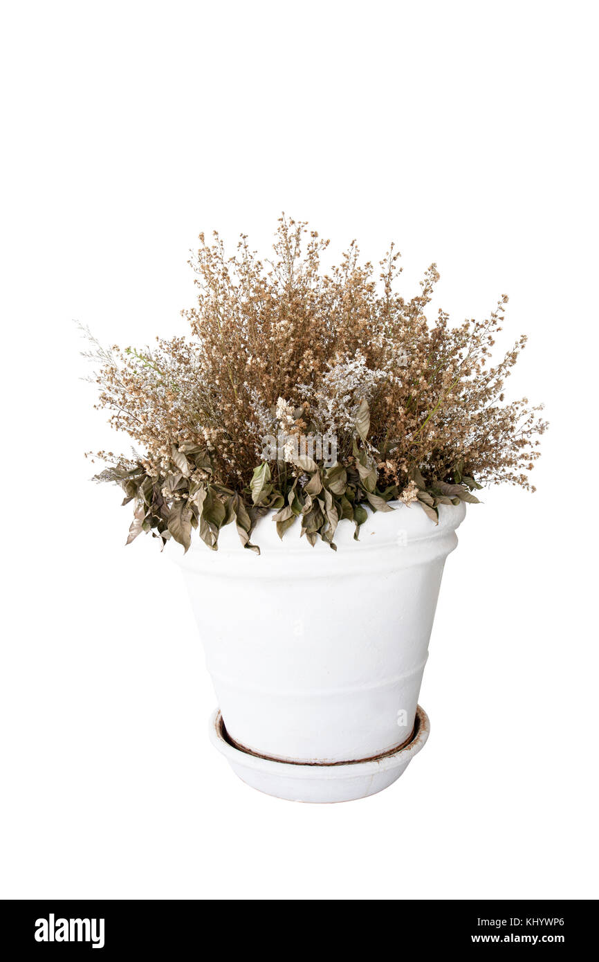 Vintage pots flowers Cut Out Stock Images & Pictures - Alamy