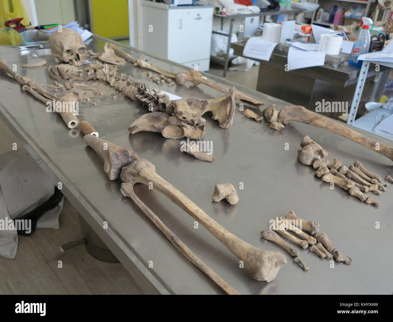 The skeleton of a victim of the 1995 Srebrenica massacre has been laid ...