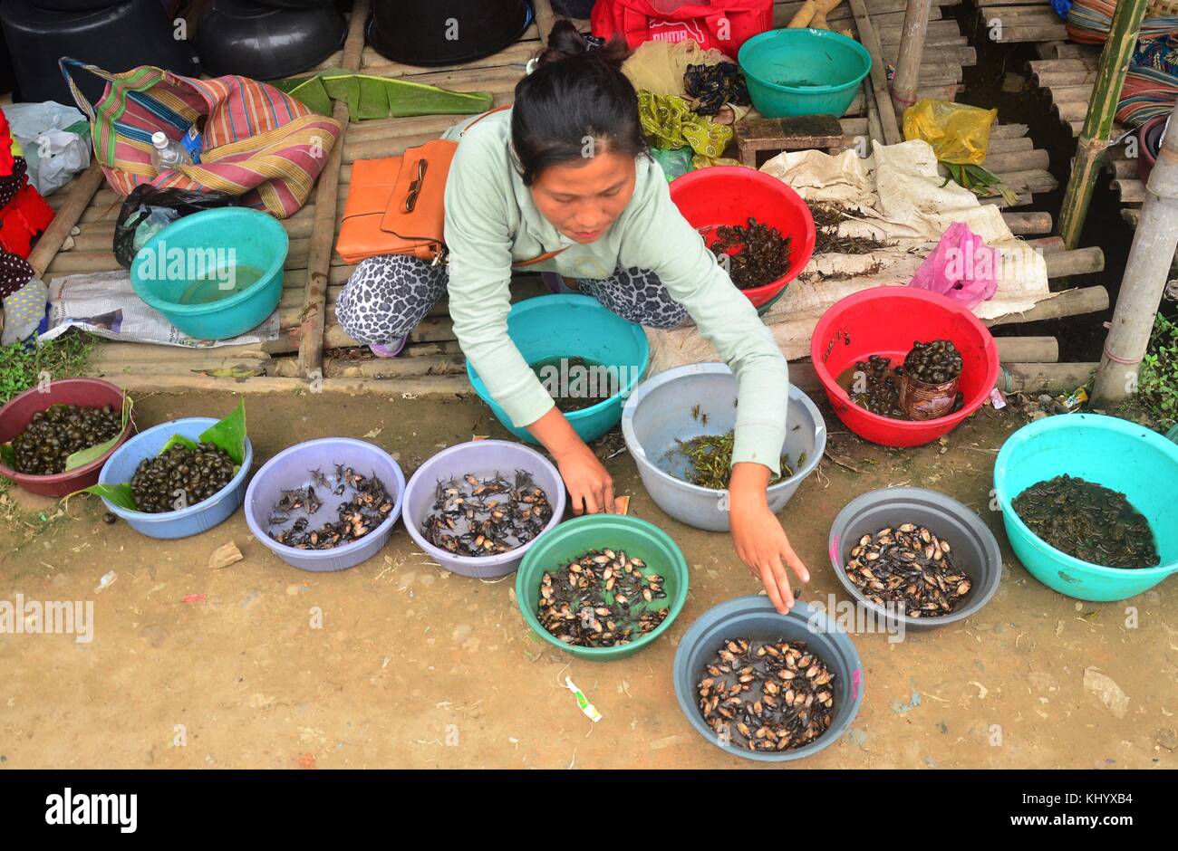 India north eastern state of nagaland hi-res stock photography and ...