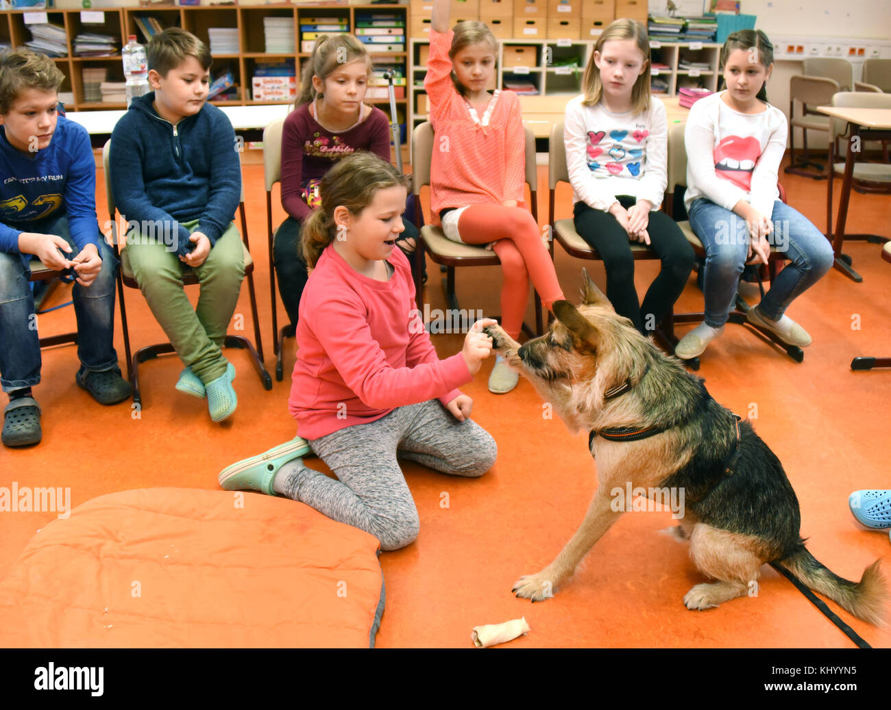 Pupils of the class 4c practice rules with school dog Rudi at the Heide ...