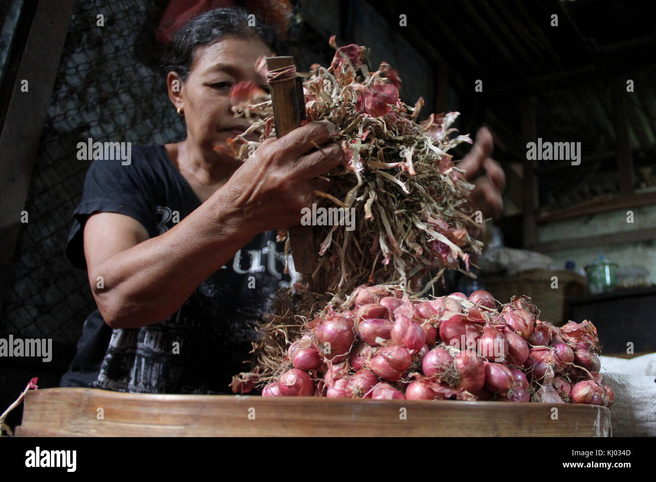 Surakarta, Indonesia. 20th Nov, 2017. Workers are sorting onions at ...