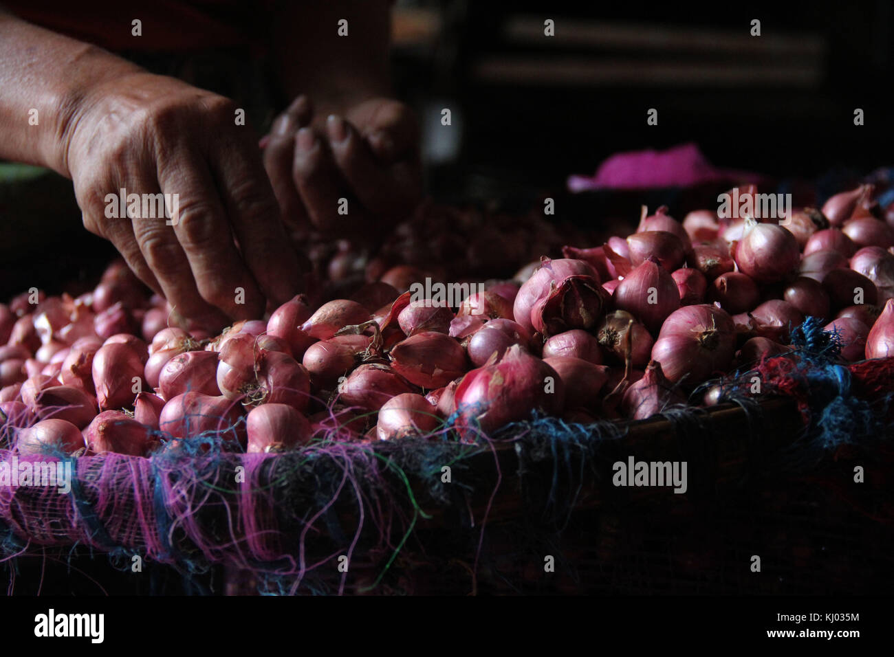 Surakarta, Indonesia. 20th Nov, 2017. Workers are sorting onions at ...