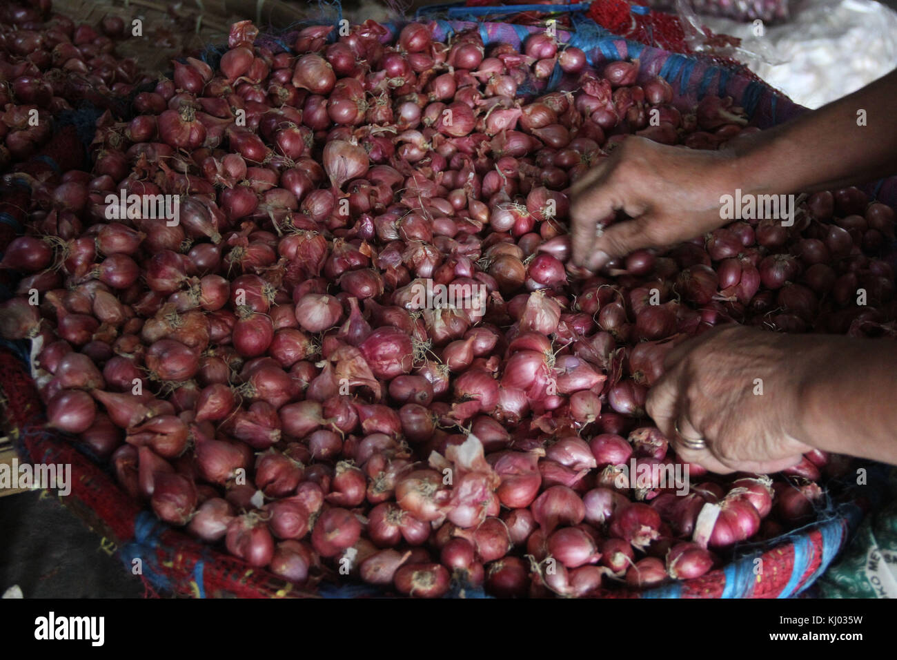 Surakarta, Indonesia. 20th Nov, 2017. Workers are sorting onions at ...
