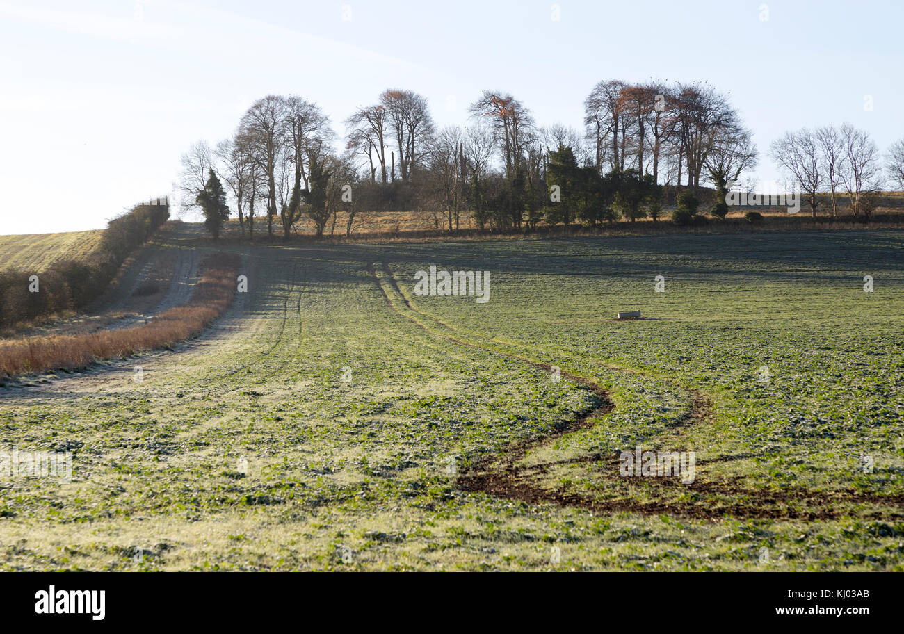 Neolithic long barrow in chalk downland countryside near East Kennet ...