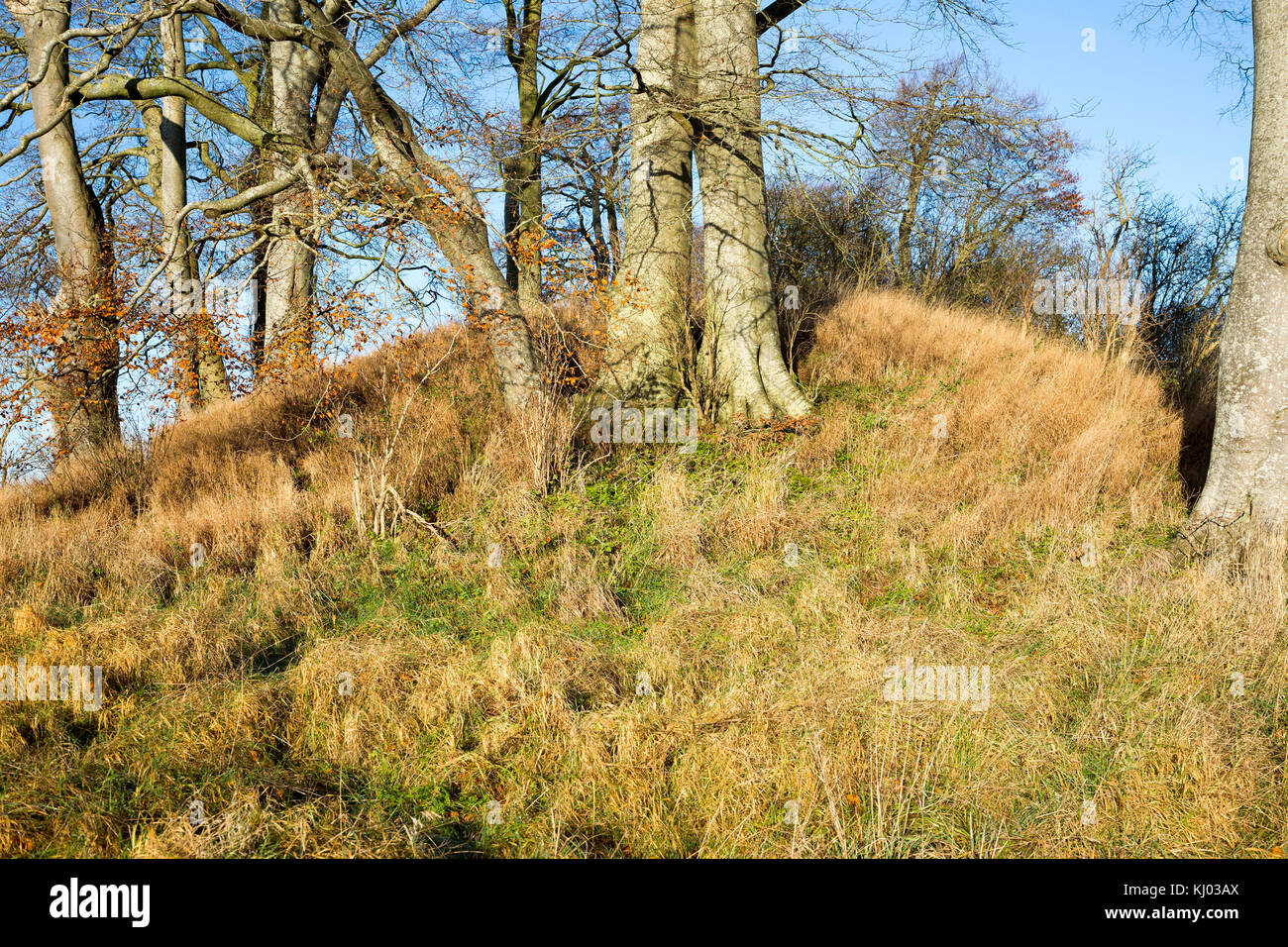 Neolithic long barrow in chalk downland countryside near East Kennet ...