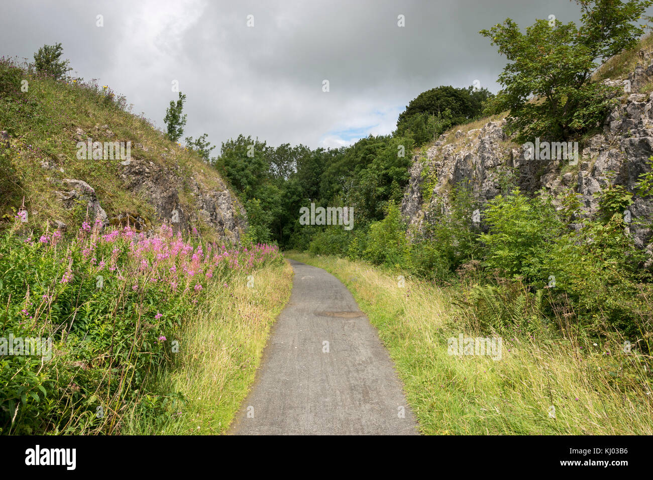 The Tissington trail near Hartington in the Peak District national park ...