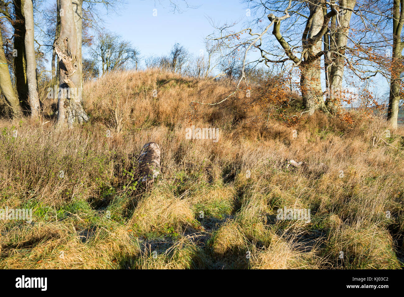 Neolithic long barrow in chalk downland countryside near East Kennet ...