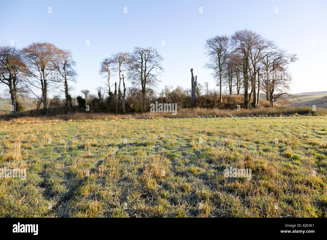 Neolithic long barrow in chalk downland countryside near East Kennet ...