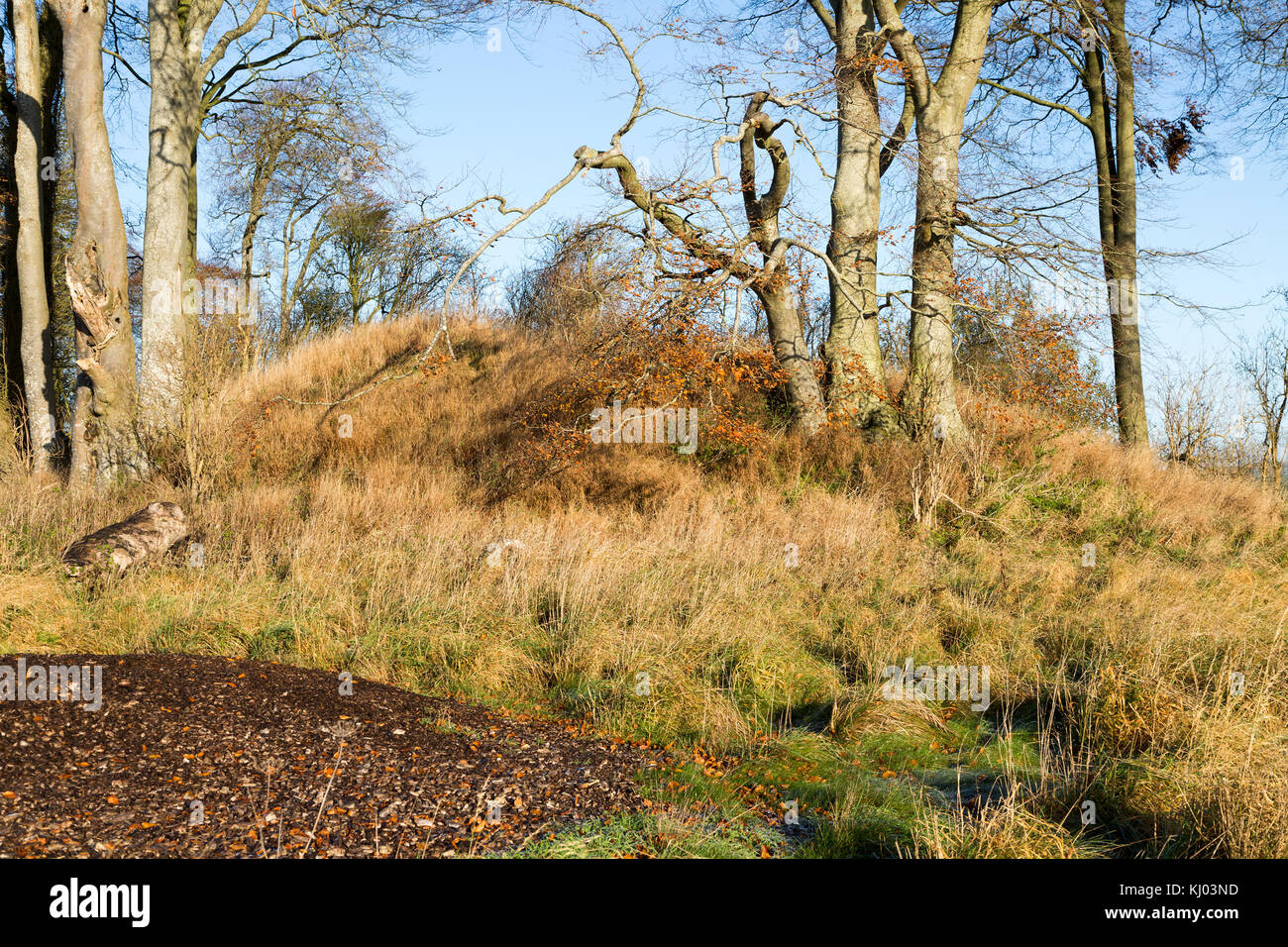 Neolithic long barrow in chalk downland countryside near East Kennet ...