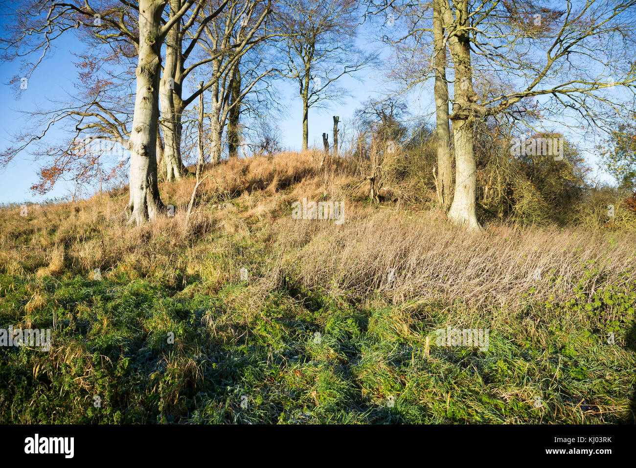Neolithic long barrow in chalk downland countryside near East Kennet ...