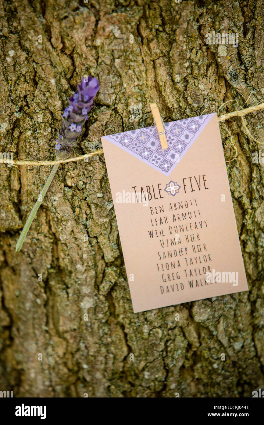 Wedding reception table guest list tied to tree trunk with lavender ...