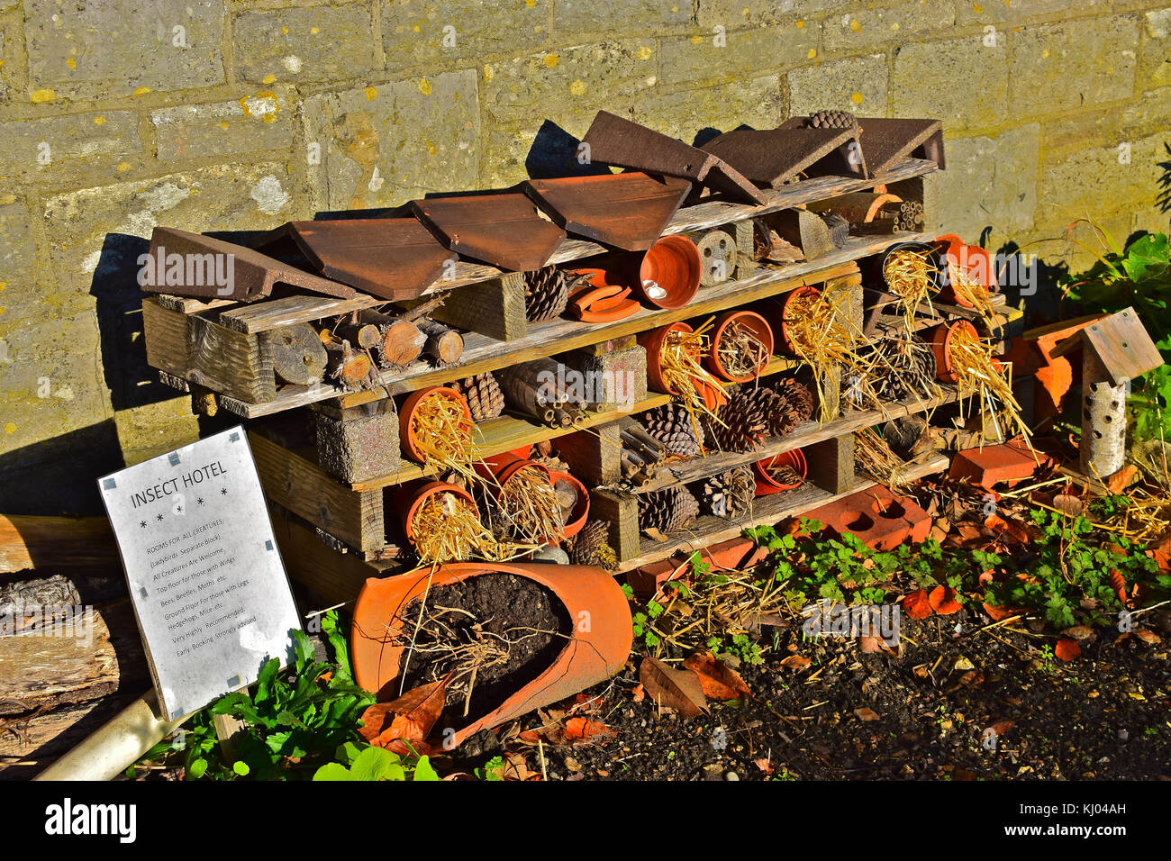 Insect hotel pine hi-res stock photography and images - Alamy