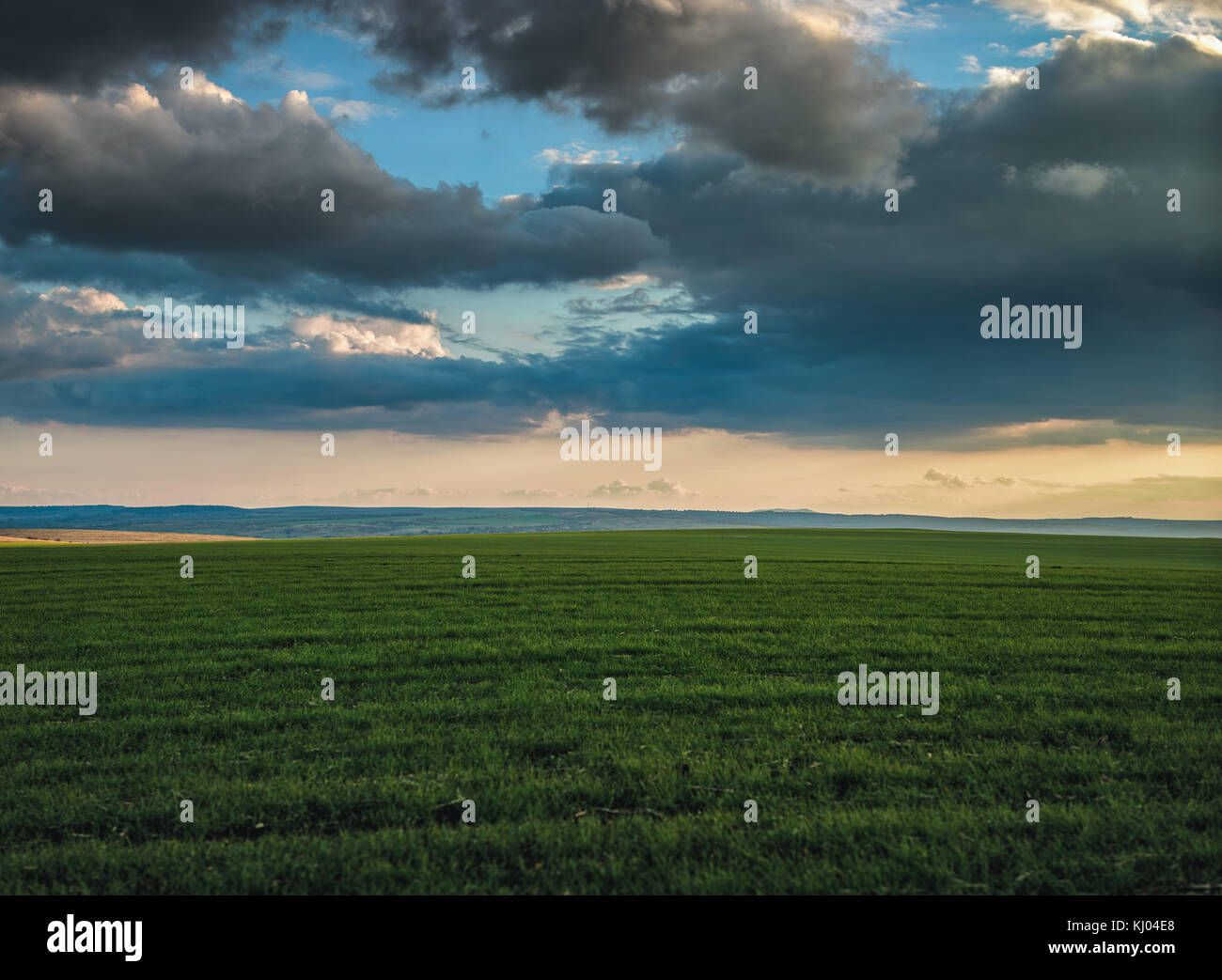 Spring Landscape with Wheat Field and Clouds Stock Photo - Alamy
