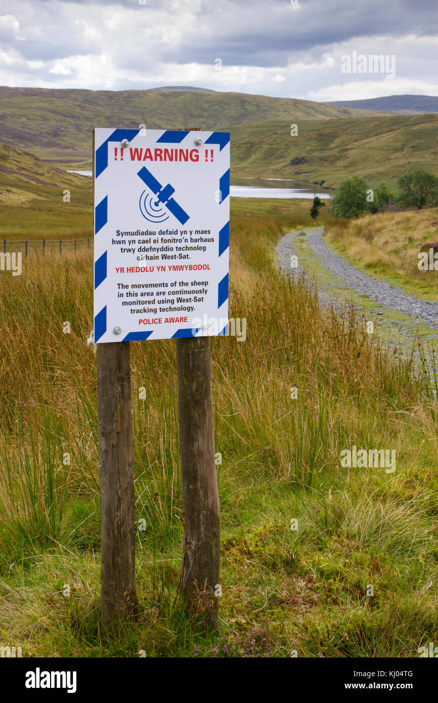 Sign in English and Welsh appearing to warn that sheep are satillite ...
