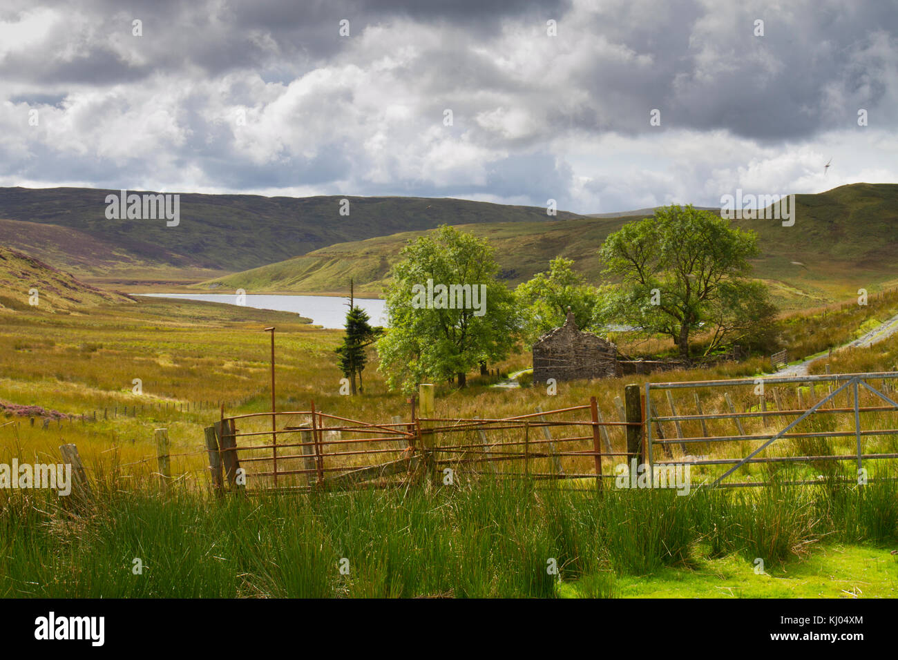 Wales nature reserve uk hi-res stock photography and images - Alamy