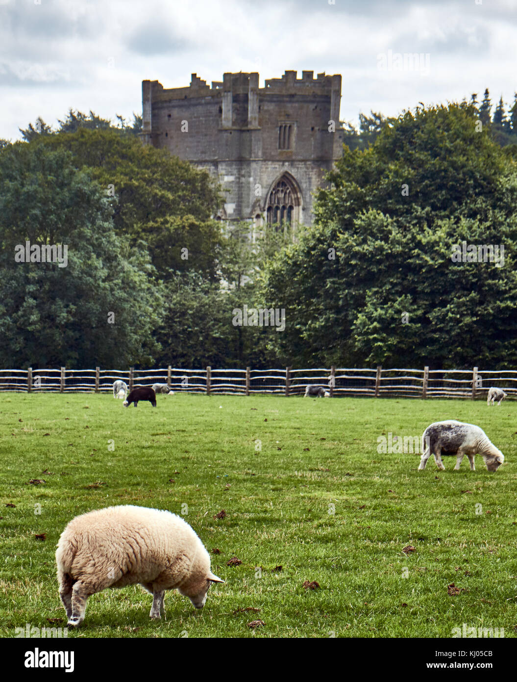 Monastic ruins hi-res stock photography and images - Alamy