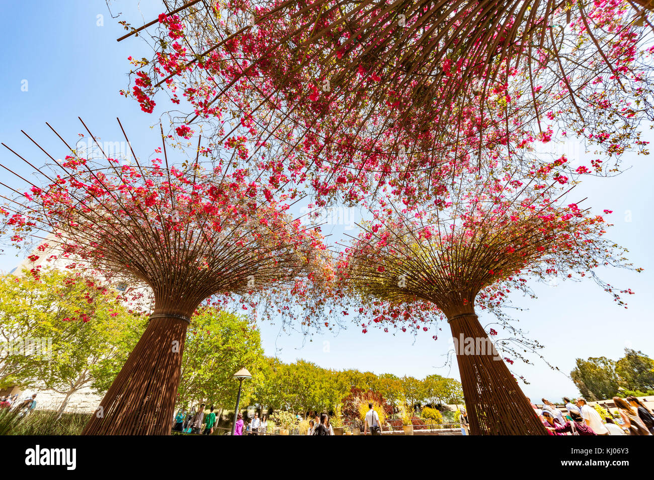 Gardens around the The Getty Center, in Los Angeles, California, is a ...