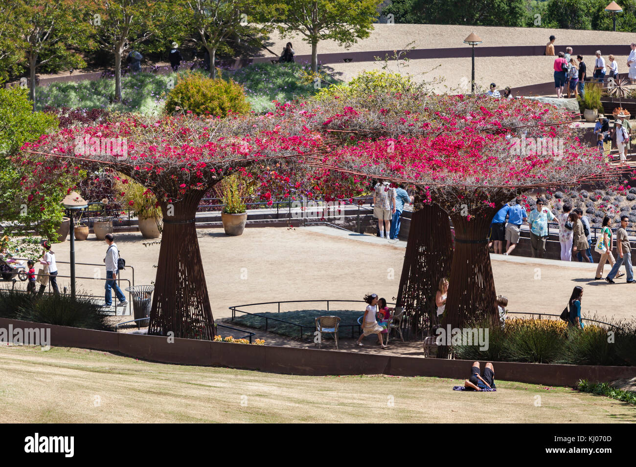 Gardens around the The Getty Center, in Los Angeles, California, is a ...
