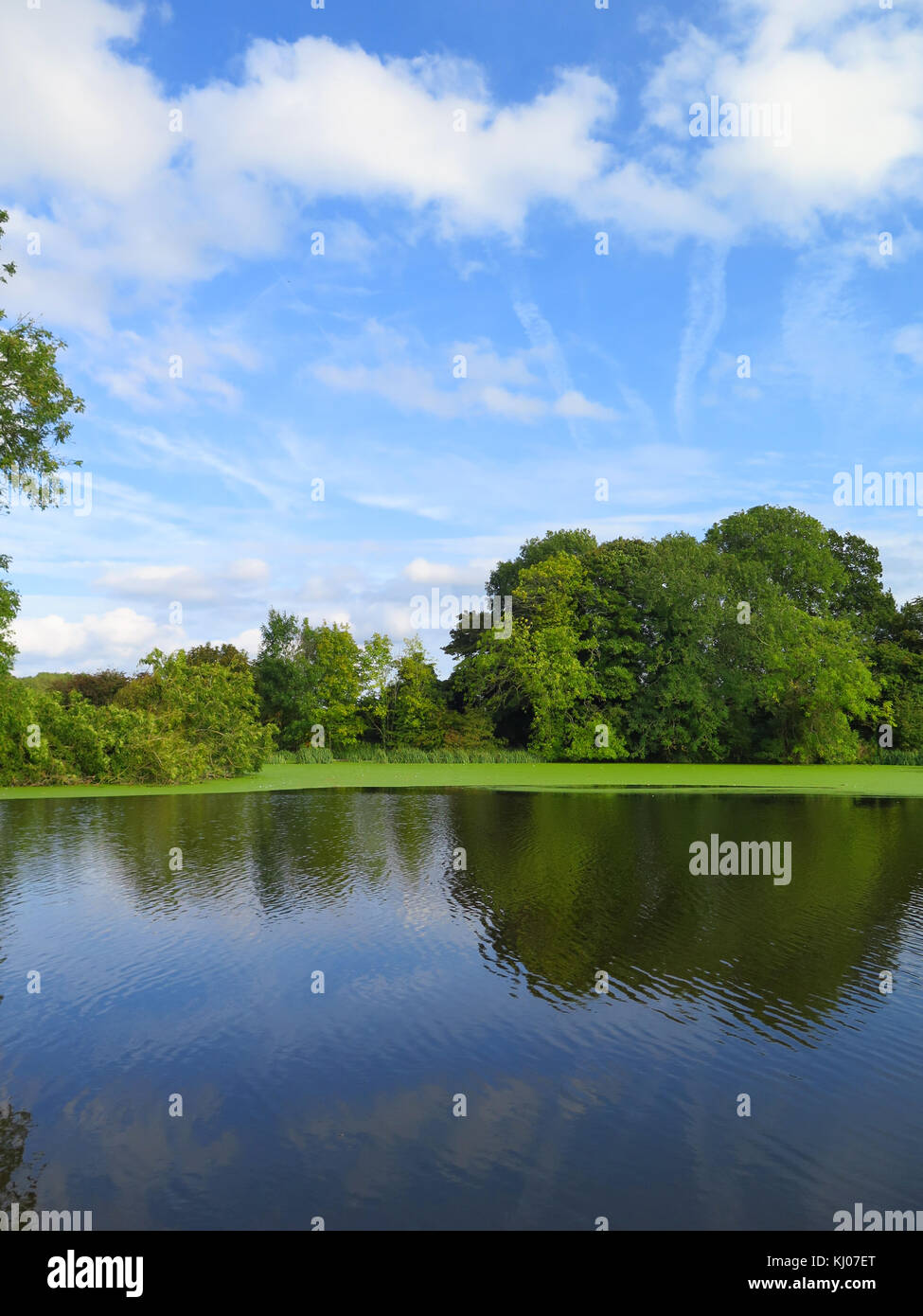 Norfolk scene view landscape hi-res stock photography and images - Alamy