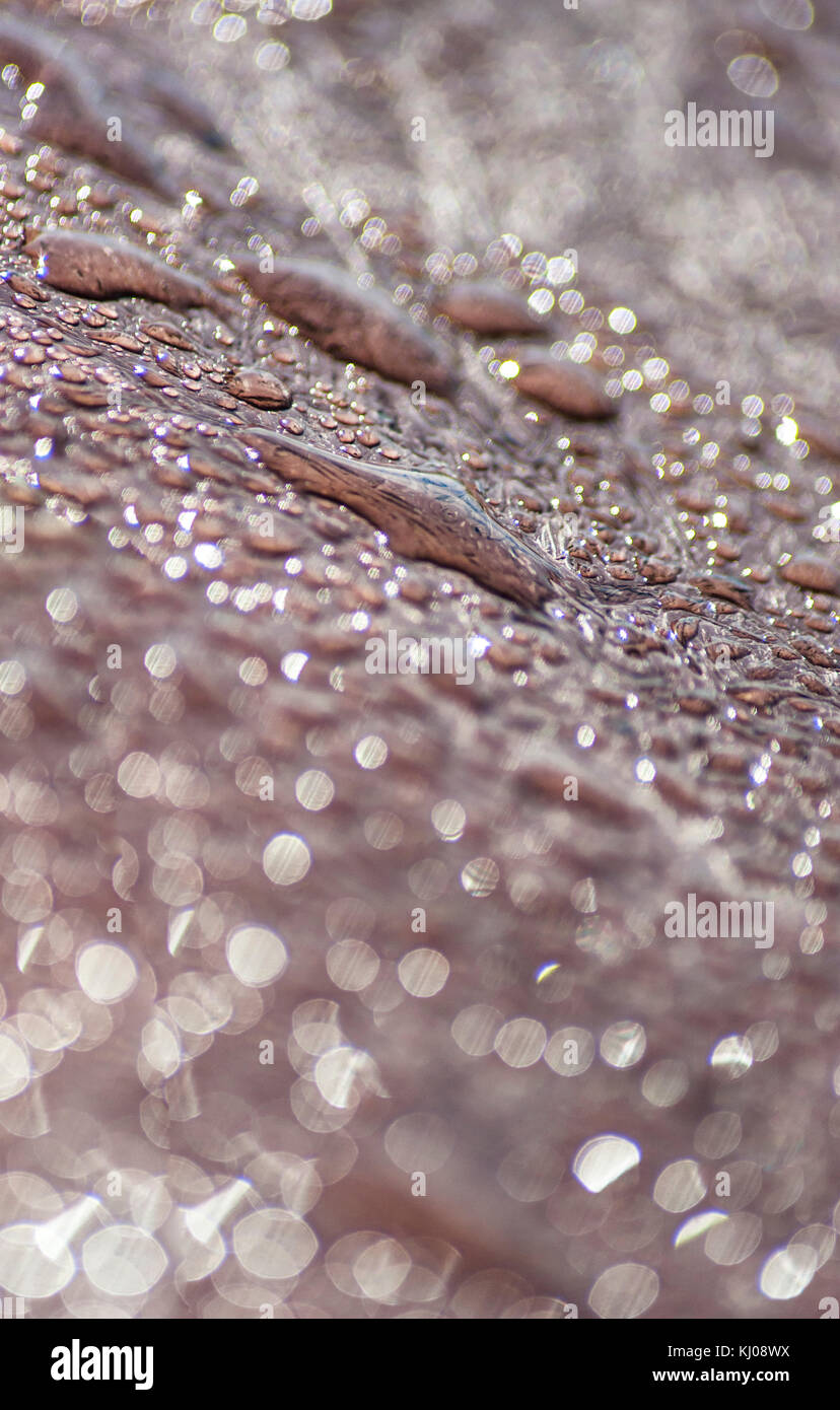 Waterdroop on the bench - Water Drops on the bench - close up Stock ...