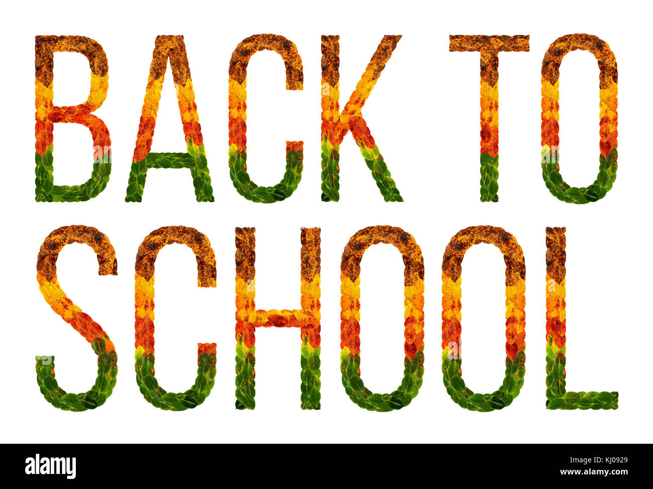 word Back to school written with leaves white isolated background ...