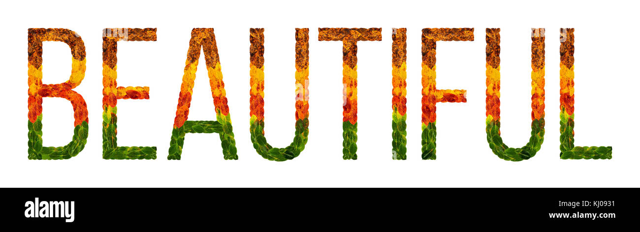 word Beautiful written with leaves white isolated background, banner ...
