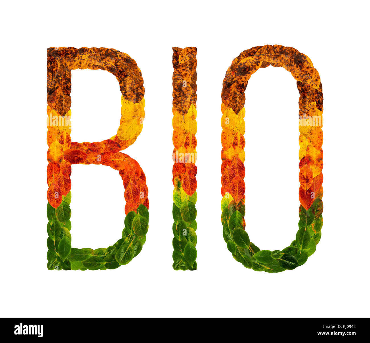 word Bio written with leaves white isolated background, banner for ...