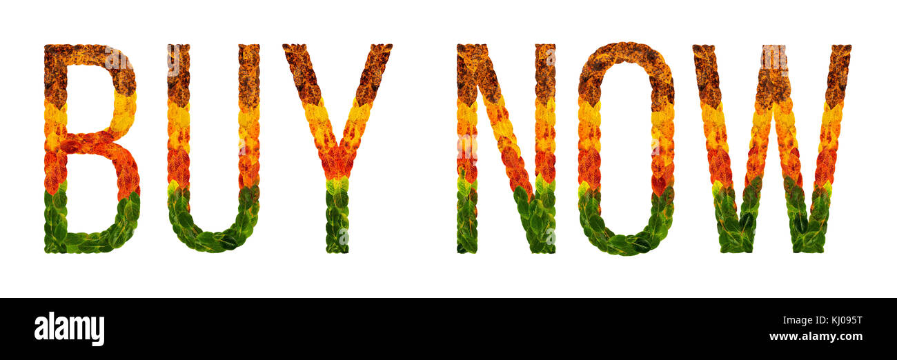 word Buy now written with leaves white isolated background, banner for ...