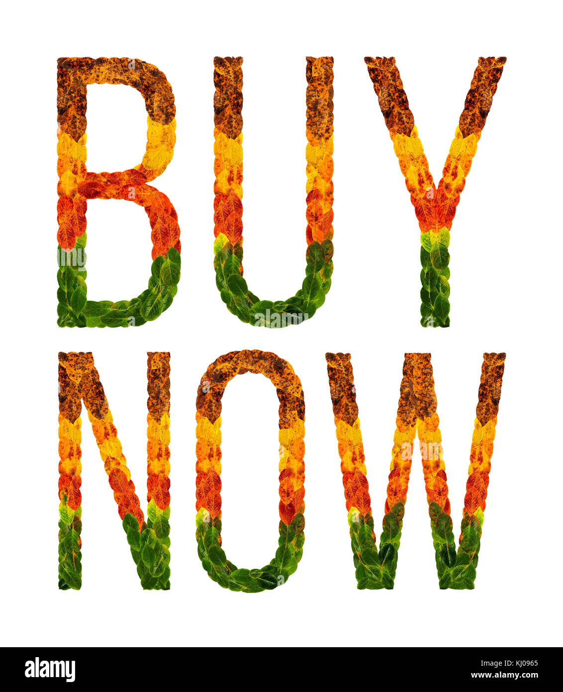 word Buy now written with leaves white isolated background, banner for ...