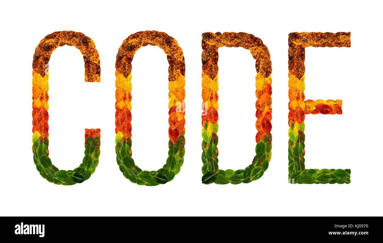 word Code written with leaves white isolated background, banner for ...