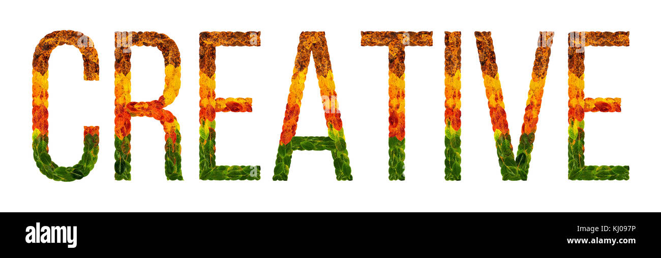 word Creative written with leaves white isolated background, banner for ...