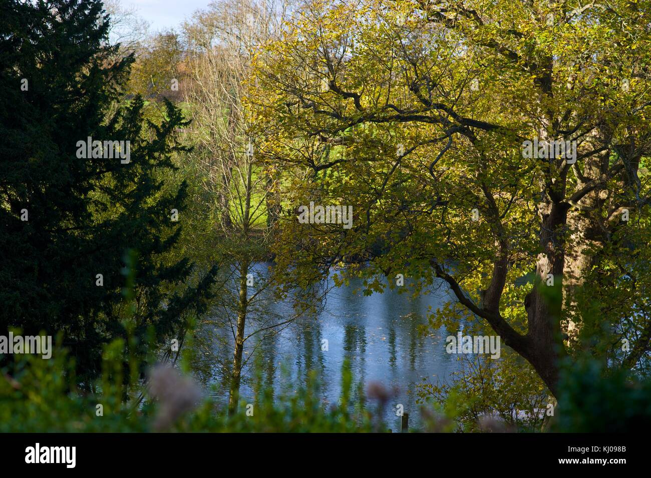 Chiltern Estate, National Trust Stock Photo - Alamy