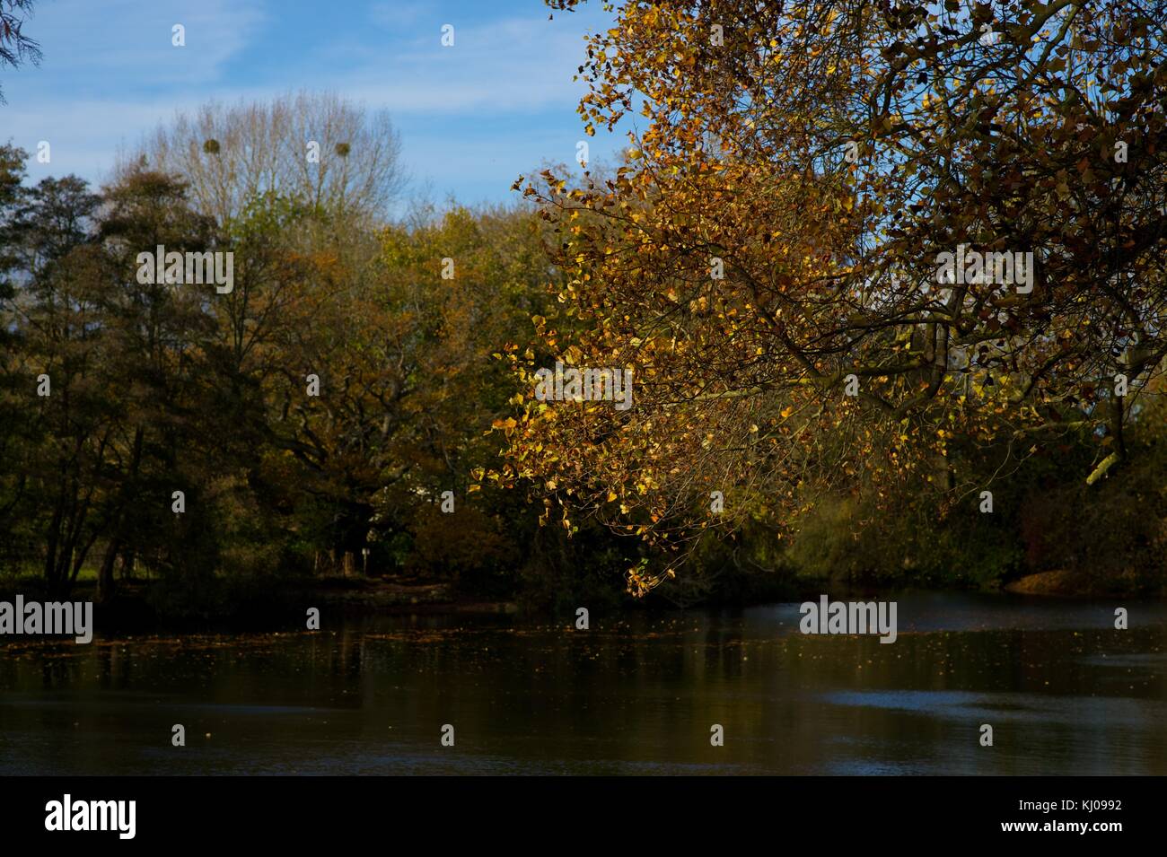 Chiltern Estate, National Trust Stock Photo - Alamy