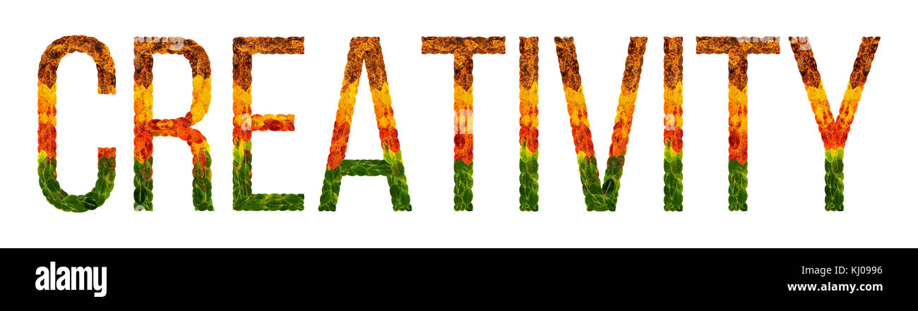 creativity word is written with leaves white isolated background ...